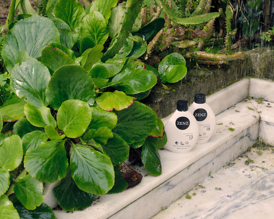 The ZENZ Story | ZENZ Organic Professional – ZENZ Organic Professional ...